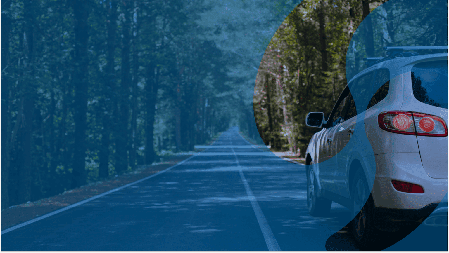 Homepage - SOFICO - Global