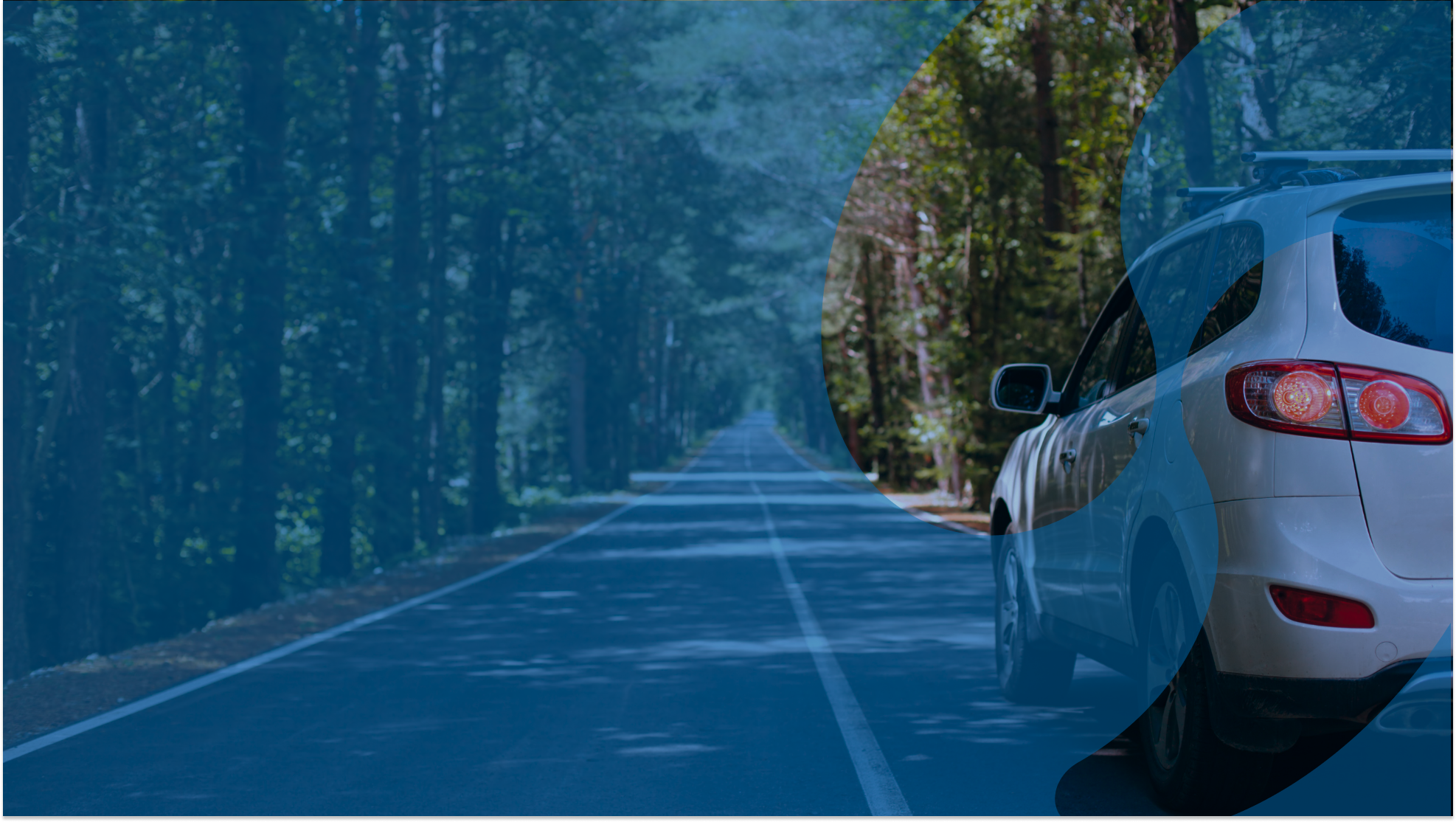 Homepage - SOFICO - Global